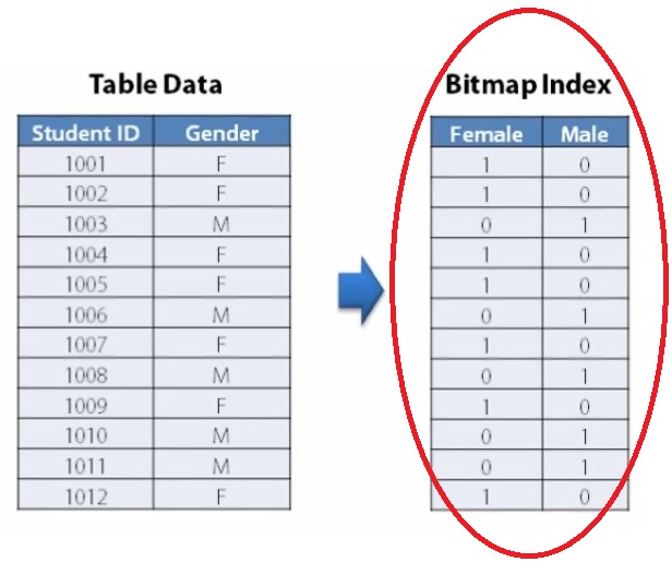 ایندکس BITMAP در اوراکل – Oracle Database
